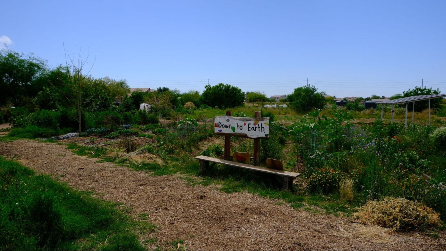 S.O.S. Save our Soil! - www.cclr.org